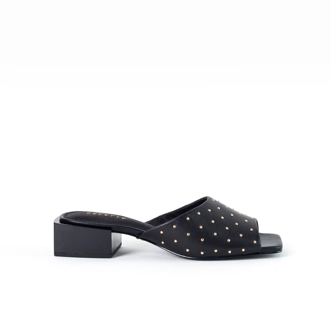 What's New – Page 3 – Cecelia New York