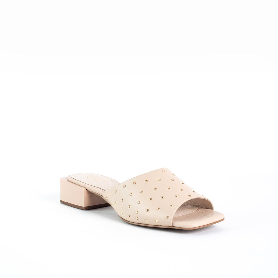 What's New – Page 3 – Cecelia New York